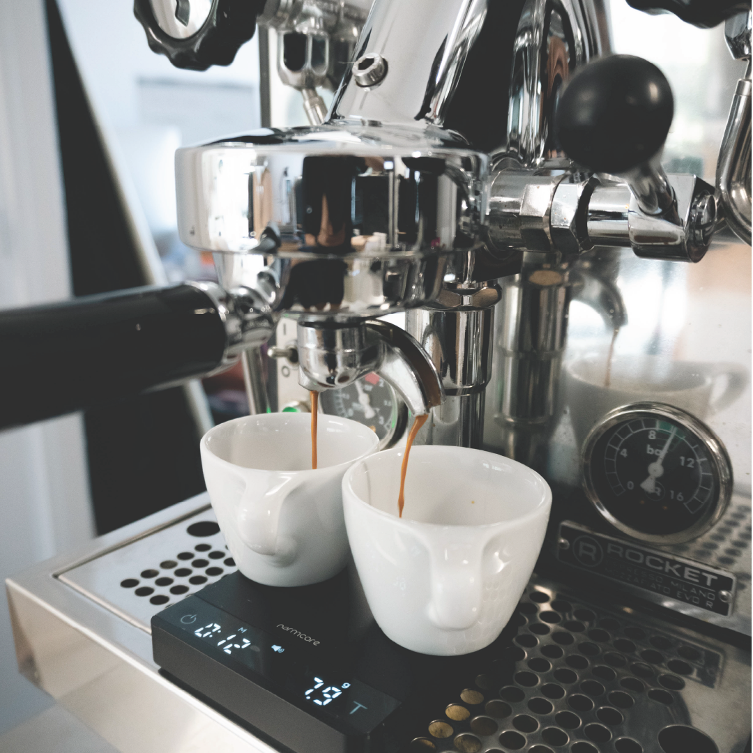 Red Rabbit Coffee - Single Origin Roasters