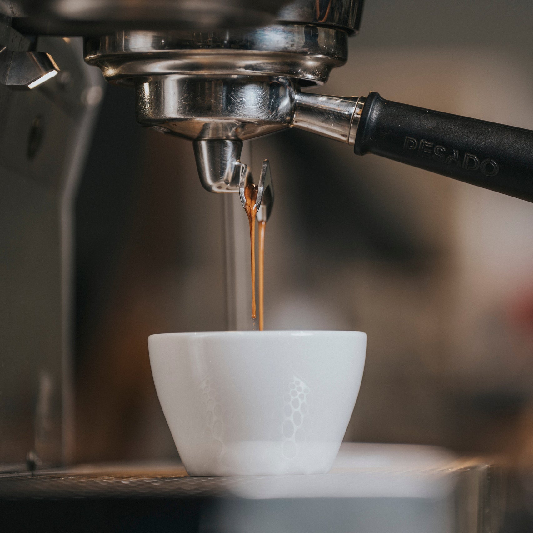 Red Rabbit Coffee - Single Origin Roasters – Red Rabbit Coffee Co