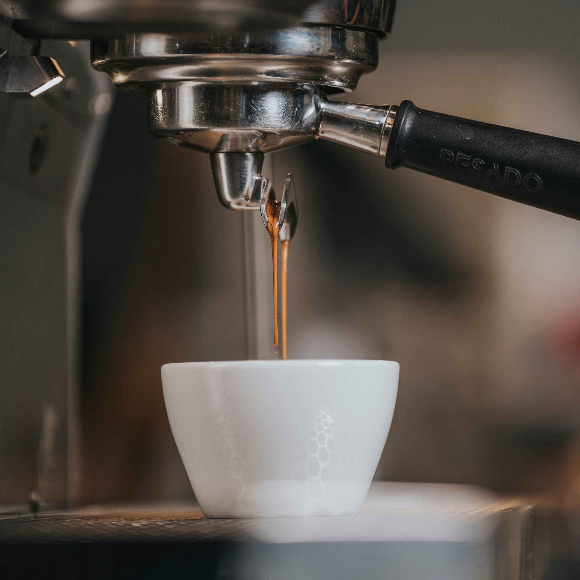 Red Rabbit Coffee - Single Origin Roasters – Red Rabbit Coffee Co