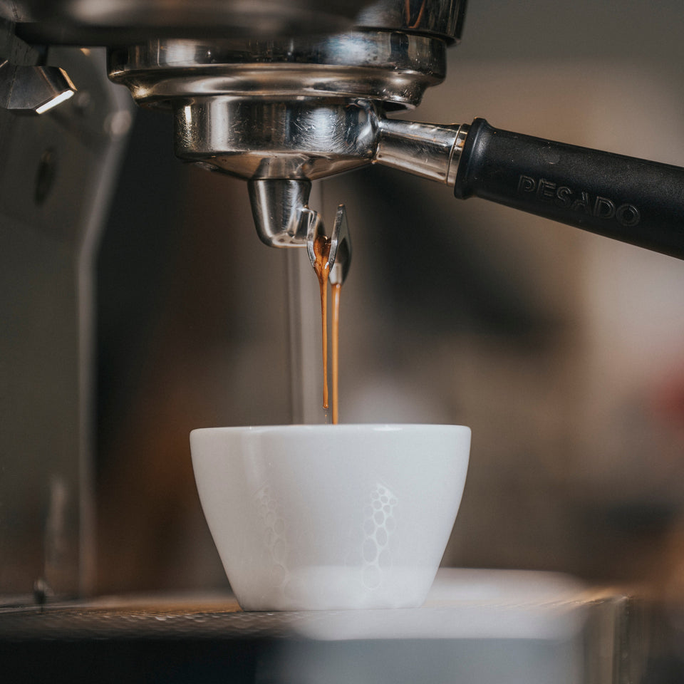 Red Rabbit Coffee - Single Origin Roasters – Red Rabbit Coffee Co