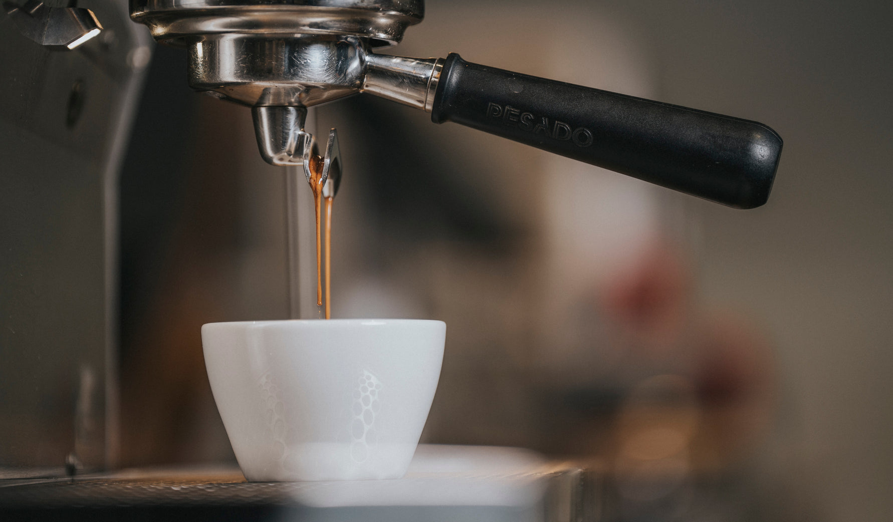 Red Rabbit Coffee - Single Origin Roasters – Red Rabbit Coffee Co